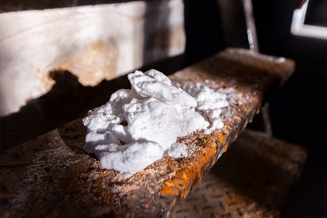 Paella, Olive Oil, Wine & Relax in Rural Estate outside Madrid - Practical Details and Value