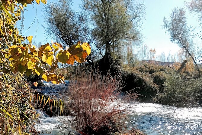 Paella, Olive Oil, Wine & Relax in Rural Estate outside Madrid - FAQs