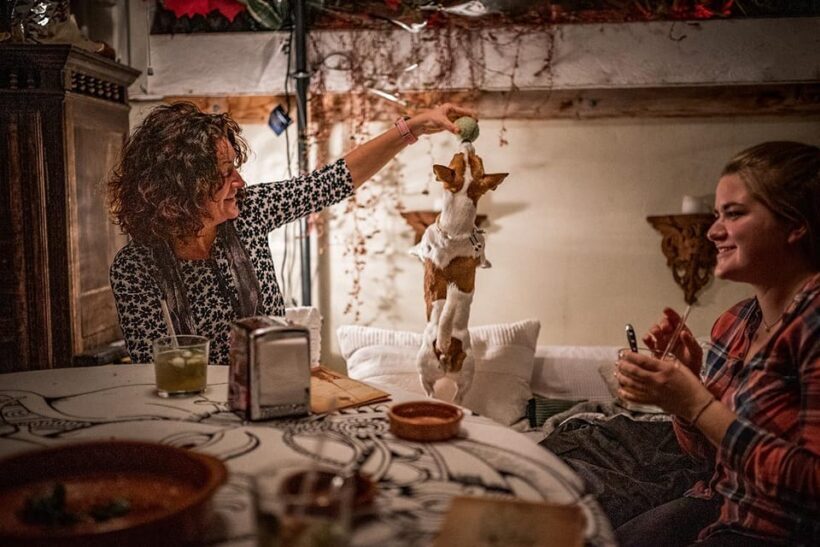 Paella over Palma - Authenticity and Cultural Insights