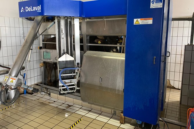 PAESTUM and POMPEI - Practical Details and What to Expect