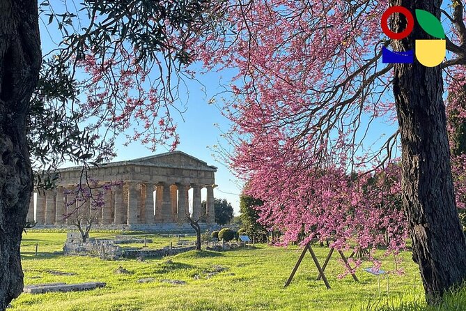 Paestum Orientation Tour - The Sum Up: Is This Tour Right for You?