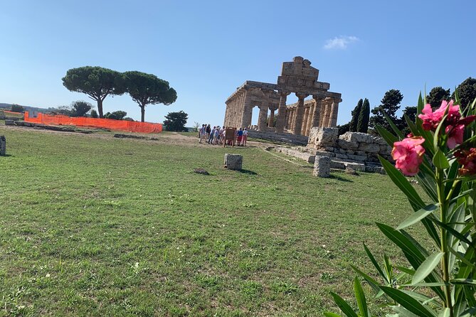 Paestum Private Tour from Naples - The Experience: What You Can Expect