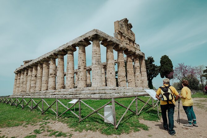 Paestum: Private Tour of Greek Temples and Archaeological Museum - Comfortable Experience