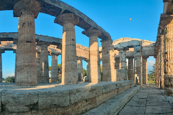 Paestum Traditions, Buffaloes, Ceramics, Temples - Why This Tour Works Well
