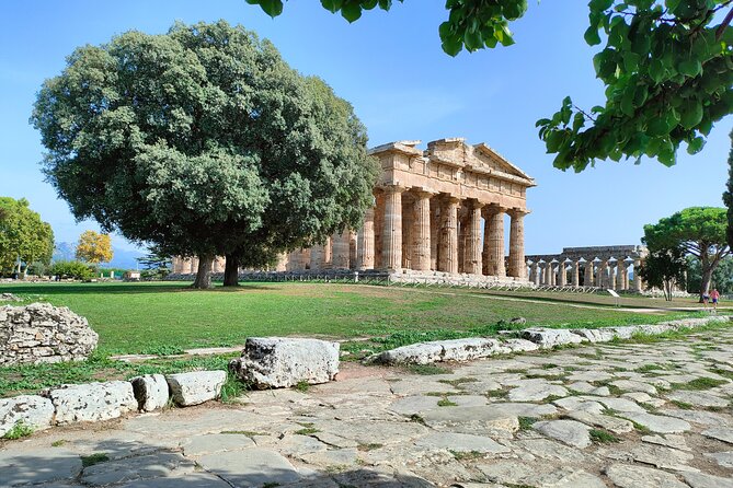 Paestum Traditions, Buffaloes, Ceramics, Temples - Who Would Love This Tour?