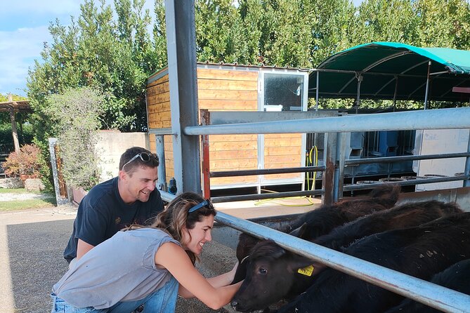 Paestum Traditions, Buffaloes, Ceramics, Temples - Final Thoughts