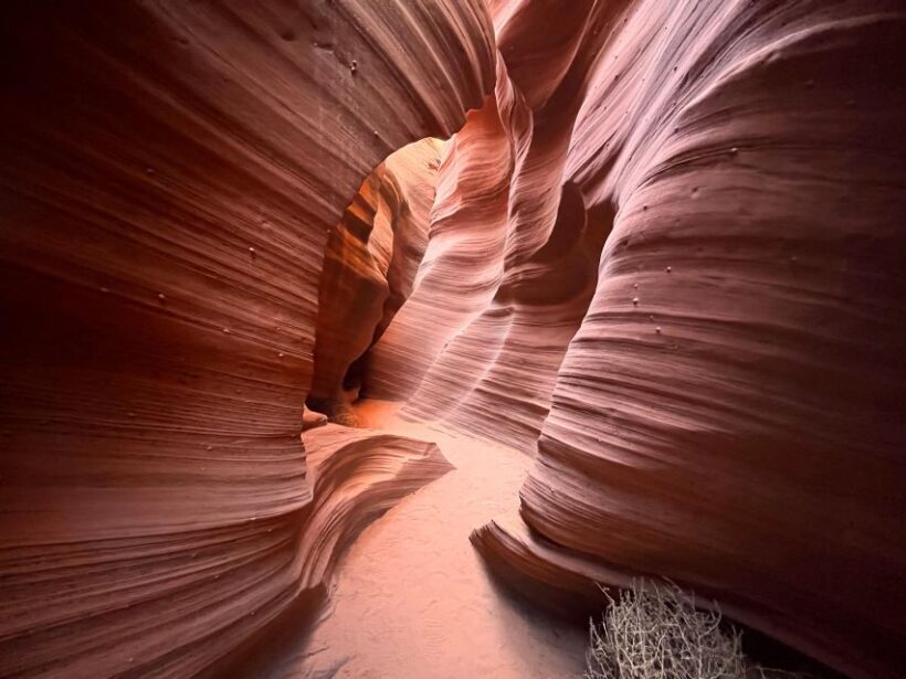 Page: Traditional Navajo Hogan Stay & Antelope Canyon Tour - Final Thoughts: Is This Tour Right for You?