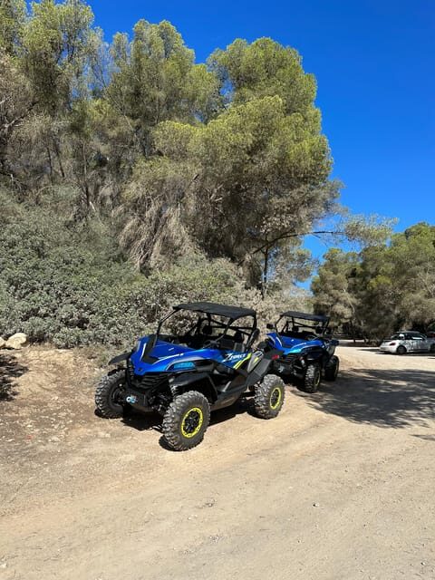 Paguera: 2 Hour Buggy Tour - Exploring the Route and Its Highlights