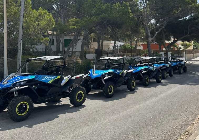 Paguera: 2 Hour Buggy Tour - The Practical Side: Logistics, Price, and Value