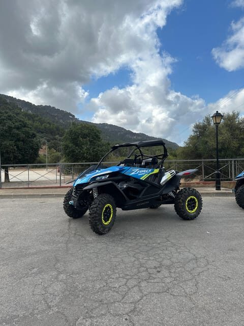 Paguera: 2 Hour Buggy Tour - Authentic Traveler Feedback