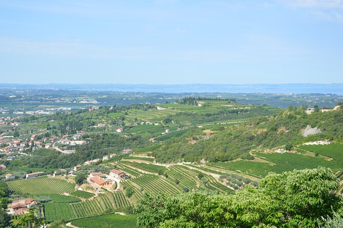 Pagus Wine Tours® - a Taste of Valpolicella - Half Day Wine Tour - Itinerary Highlights