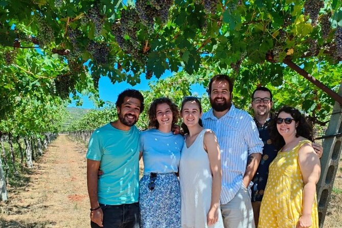 Pagus Wine Tours® - a Taste of Valpolicella - Half Day Wine Tour - Recommendations and Considerations