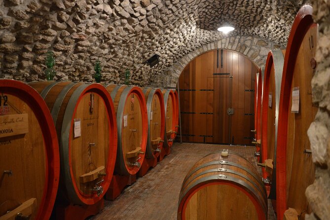 Pagus Wine Tours® - a Taste of Valpolicella - Half Day Wine Tour - Region and Wine-Making History
