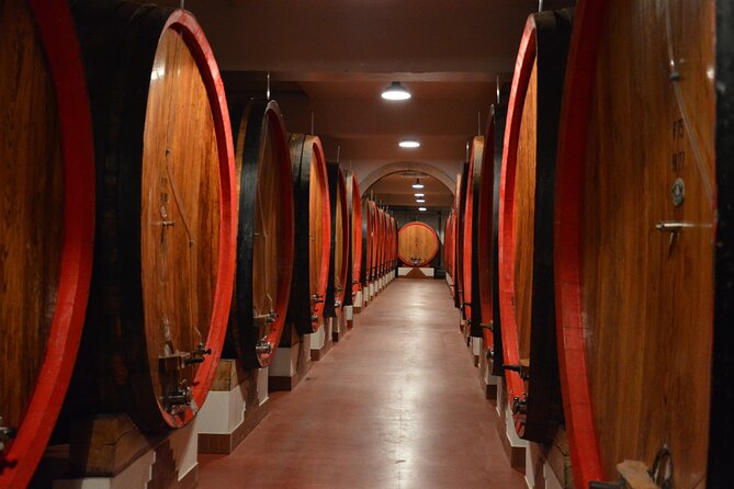 Pagus Wine Tours® - Soave and Amarone - Half Day Wine Tour - Insider Tips