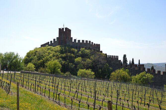Pagus Wine Tours® - Soave and Amarone - Half Day Wine Tour - Frequently Asked Questions