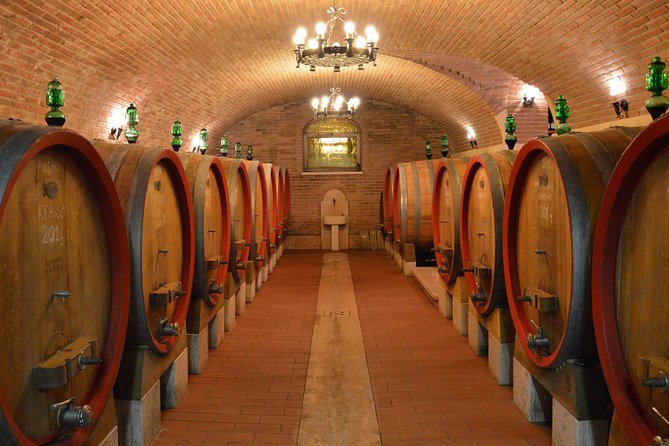 Pagus Wine Tours® - Two Amarone wineries - Half day wine tour - Who Is This Tour Best For?