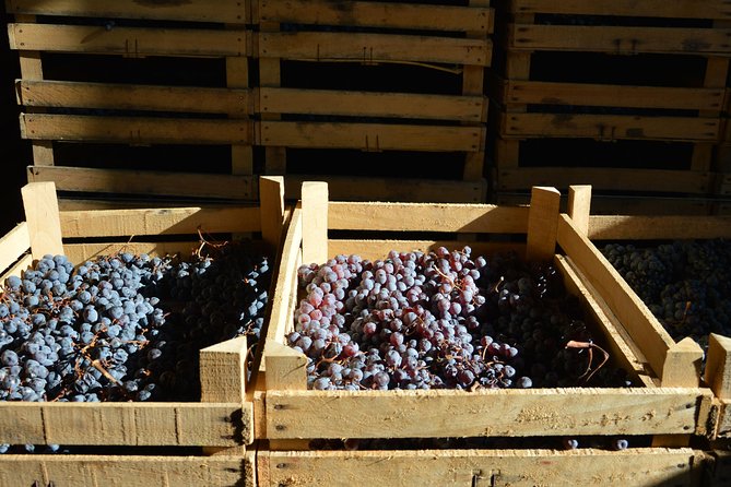 Pagus Wine Tours® - Two Amarone wineries - Half day wine tour - The Sum Up