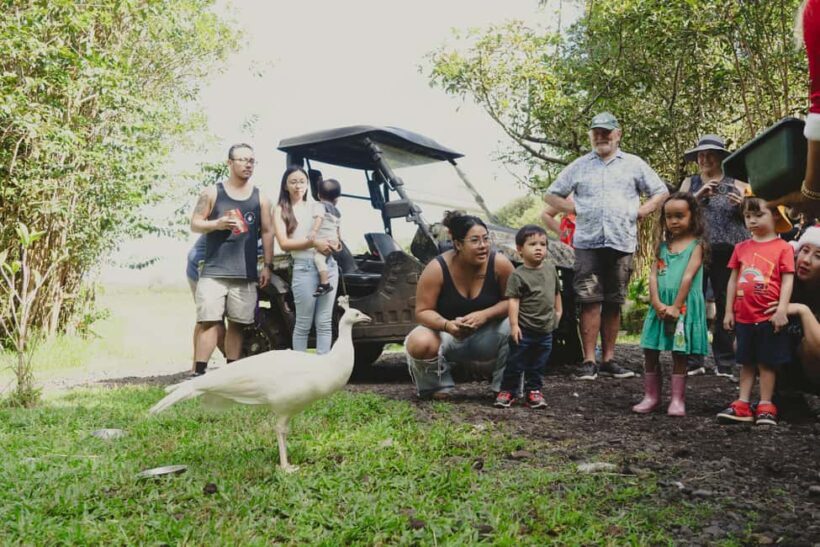 Pahoa: Ranch Tour with Animal Feedings and Interactions - Key Points
