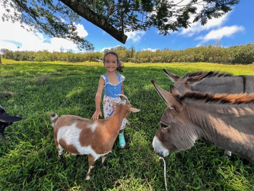 Pahoa: Ranch Tour with Animal Feedings and Interactions - Authentic, Family-Friendly, and Worthwhile