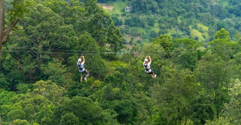 Pai: Jungle Ziplining Adventure with 16 Platforms - Practical Details & Considerations
