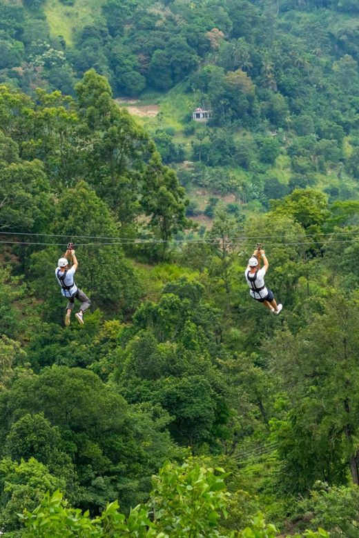 Pai: Ultimate Ziplining Adventure through the Jungle - Key Points