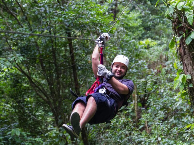 Pai: Ultimate Ziplining Adventure through the Jungle - The Experience: What Travelers Say