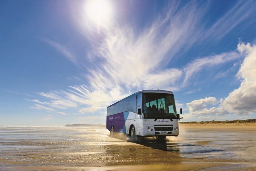 Paihia: Cape Reinga and Ninety Mile Beach Trip with Lunch - A Deep Dive into the Experience