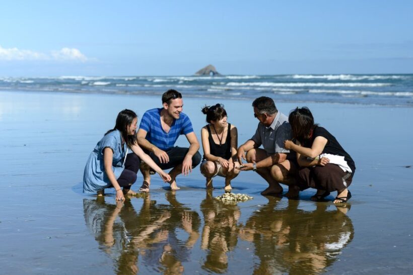 Paihia: Cape Reinga and Ninety Mile Beach Trip with Lunch - Who Should Consider This Tour?
