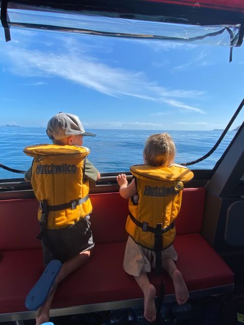 Paihia: Glass Bottom Boat Tour to the Hole in the Rock - An In-Depth Look at the Experience