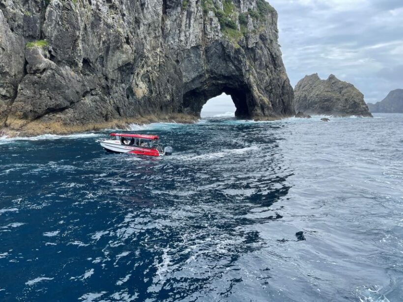 Paihia: Glass Bottom Boat Tour to the Hole in the Rock - Final Thoughts: Is It Worth It?