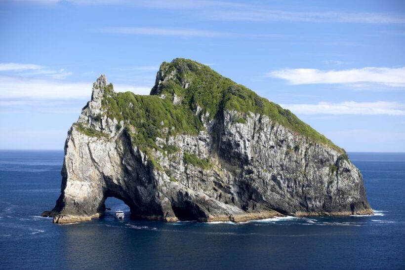 Paihia/Russell: Hole in the Rock and Bay of Islands Cruise - Exploring the Bay of Islands: A Deep Dive