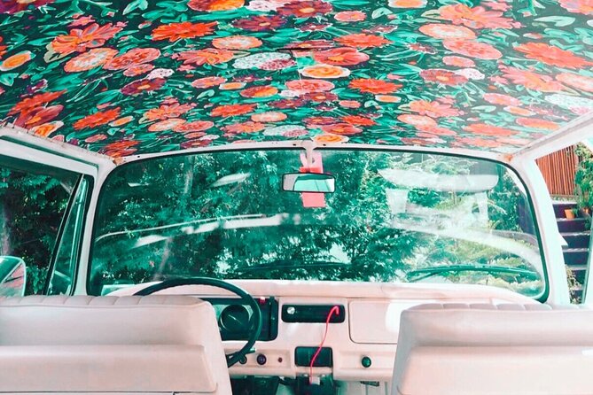 Painted Ladies Private San Francisco Tour - Inclusions and Amenities