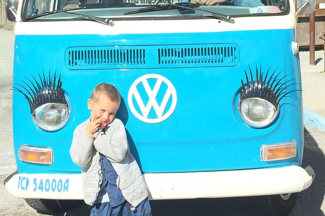 Painted Ladies Private San Francisco Tour - Booking and Cancellation Policies