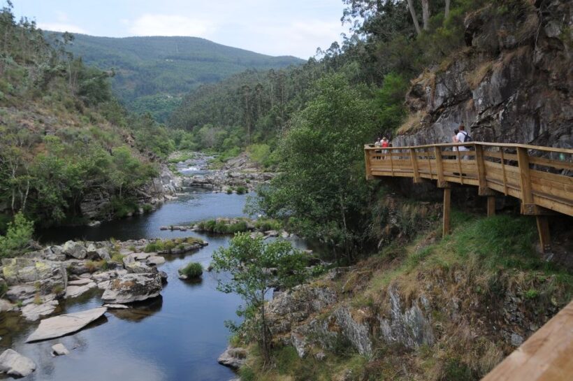 Paiva Walkways and Arouca 516 Private Tour - An In-Depth Look at the Experience