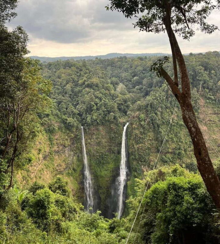 Pakse: Mystic Falls & Timeless Temples of Southern Laos Tour - Key Points