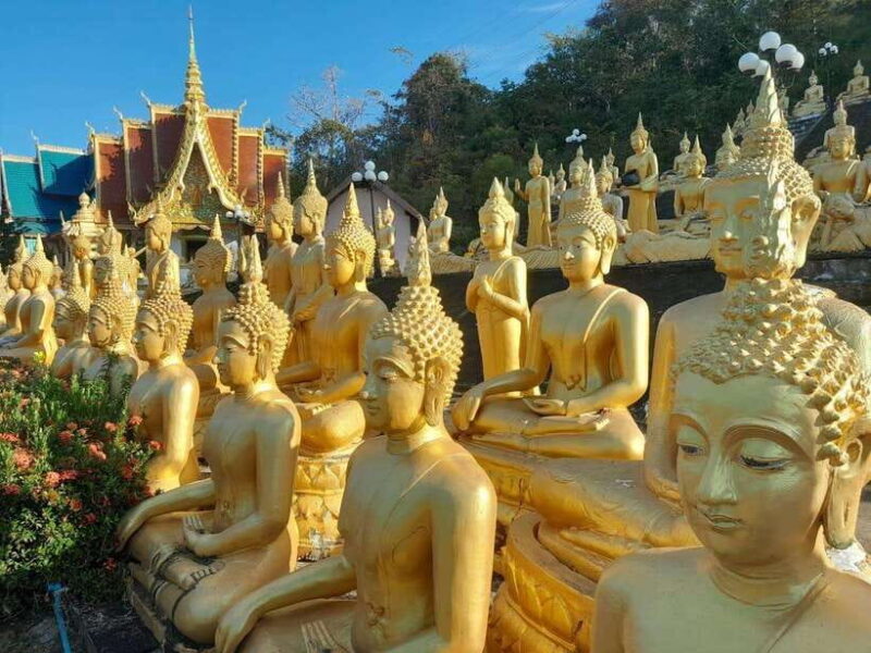 Pakse: Mystic Falls & Timeless Temples of Southern Laos Tour - Who Would Love This Tour?