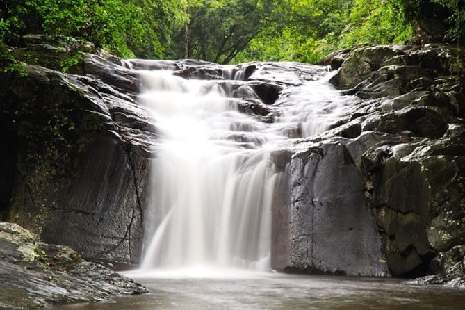 Pala U Waterfall in Kaeng Krachan Jungle with Private Guide from Hua Hin - Exploring Pala U Waterfall in the Heart of Kaeng Krachan Jungle: A Practical Review