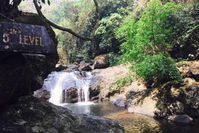 Pala U Waterfall in Kaeng Krachan Jungle with Private Guide from Hua Hin - What Travelers Say: Authentic Insights