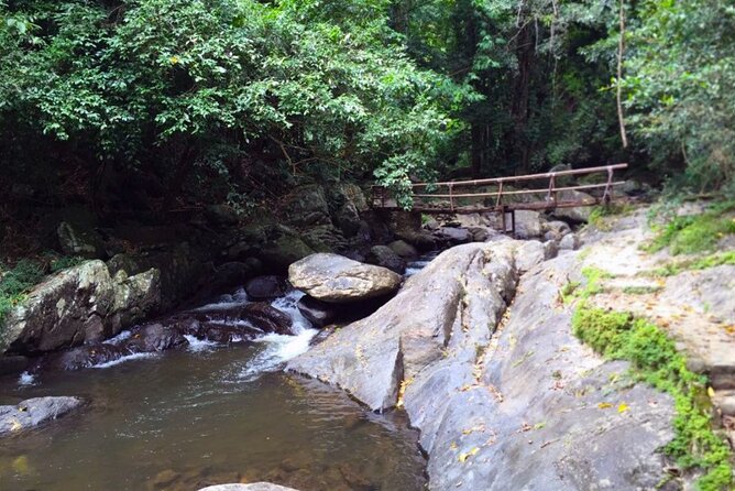 Pala U Waterfall in Kaeng Krachan Jungle with Private Guide from Hua Hin - The Practicalities: What You Need to Know
