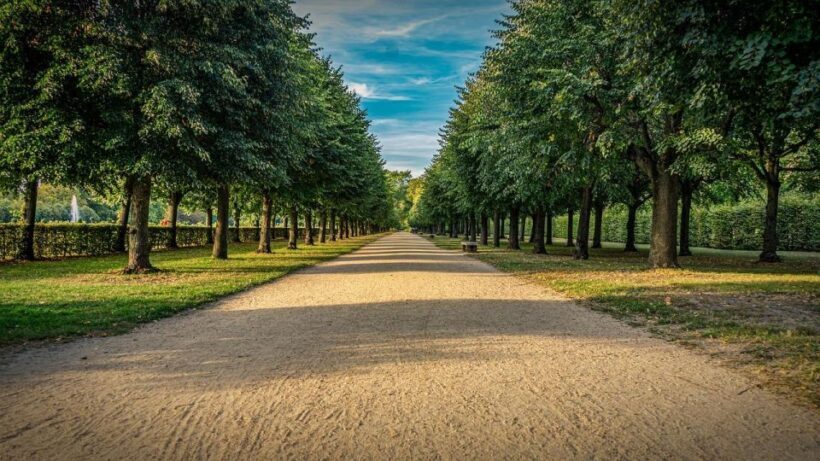 Palace of Queen Elisabeth Tour - Palace of Queen Elisabeth Tour: A Regal Escape Just Outside Budapest
