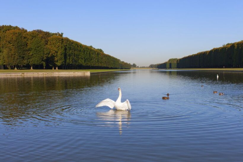 Palace of Versailles Guided Afternoon Tour from Paris - Transportation and Group Size