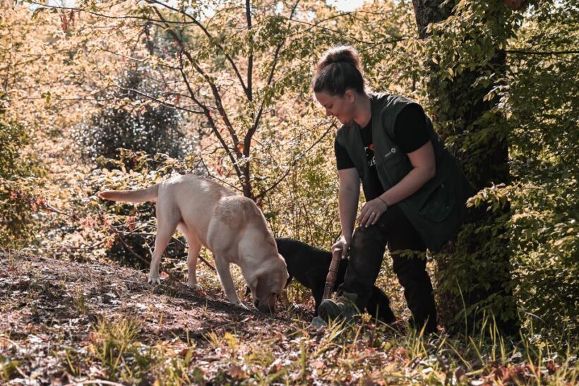 Paladini: Truffle Hunting Tour with 3-Course Tasting Menu - Exploring the Truffle Hunting Adventure