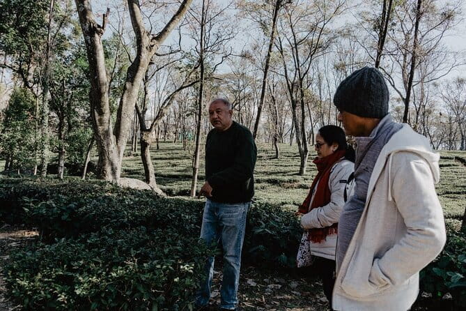 Palampur's Guided Day Tour: Discover the Tea Capital. - The Sum Up: Is This Tour Right for You?