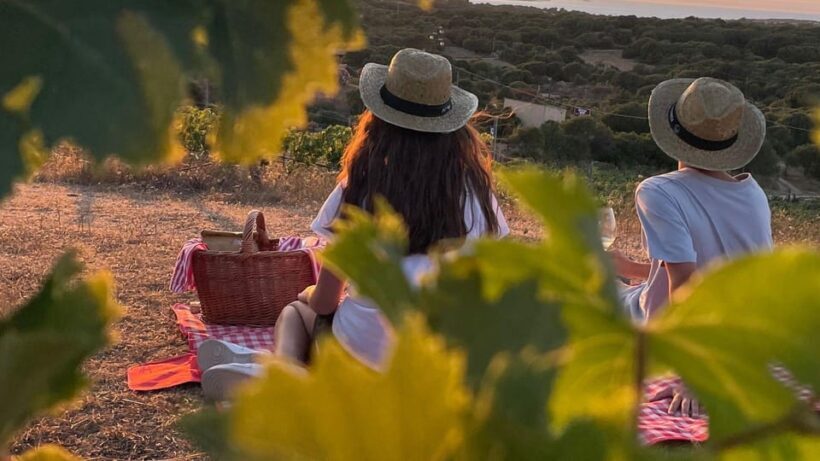 Palau: picnic in a Gallura estate - An In-Depth Look at the Sardinian Picnic Experience