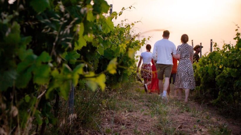 Palau: wine tasting in a Gallura winery - Price and Value Analysis