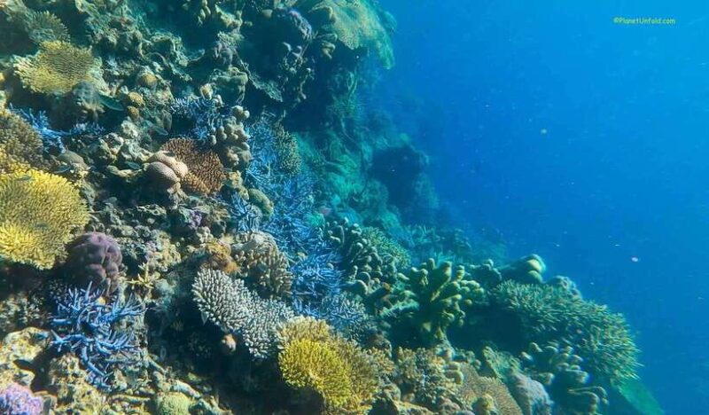 Palawan: Coron Island Super Ultimate Private Tour - Authentic Experiences and Review Highlights