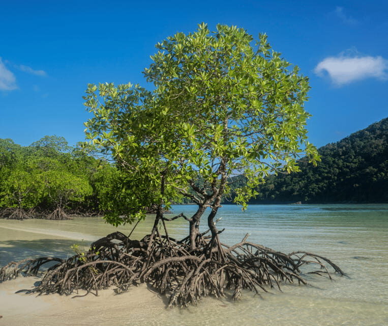 PALAWAN: El Nido Fishing Tour with Local Fishermen PRIVATE - An In-Depth Look at the Experience