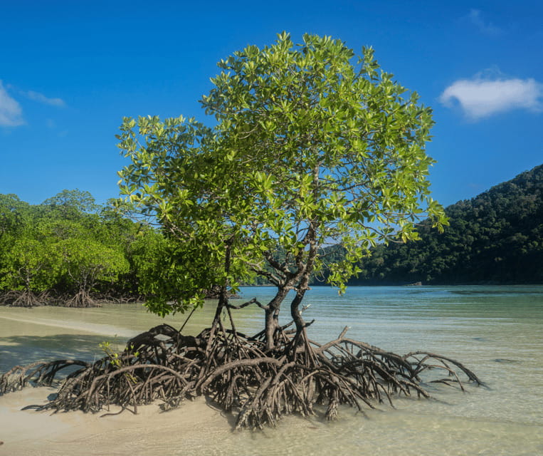 PALAWAN: El Nido Fishing Tour with Local Fishermen PRIVATE - Key Points