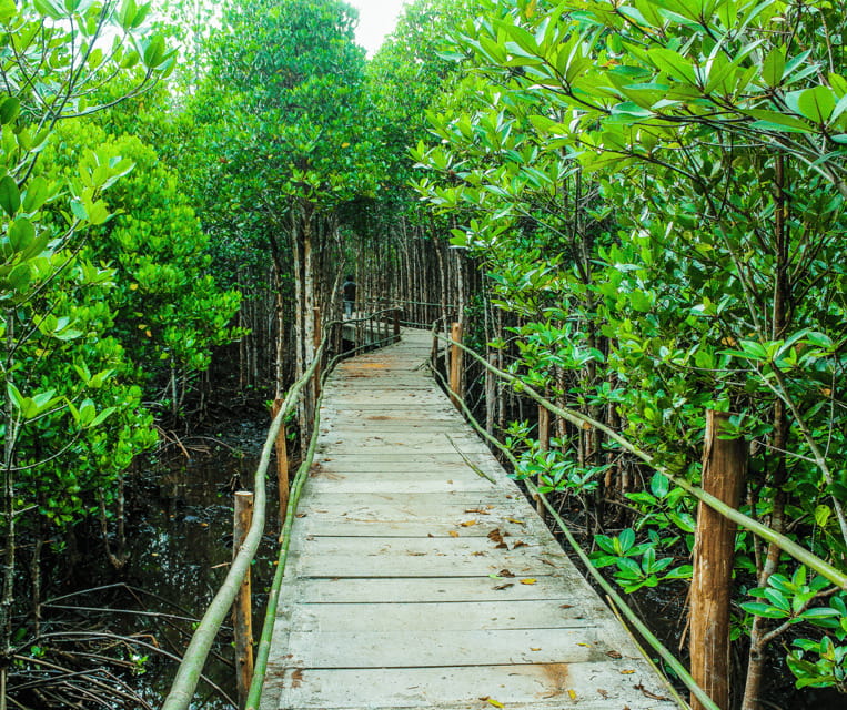 PALAWAN: El Nido Fishing Tour with Local Fishermen PRIVATE - A Closer Look at the Itinerary