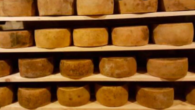 Palazzolo Acreide: Ricotta Cheese and Farm Tour with Tasting - The Short Town Visit